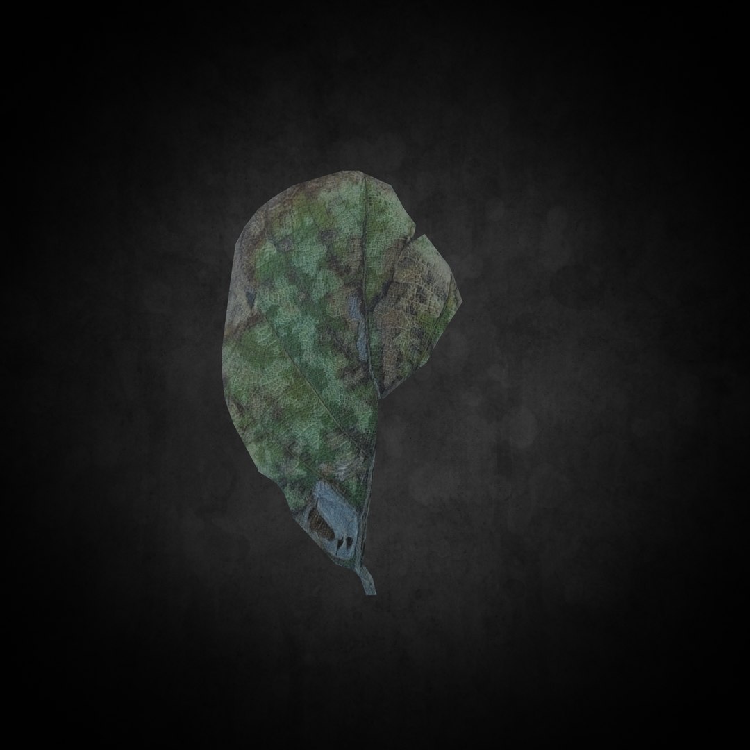 3D Low Poly Leaf 032 - TurboSquid 1852383