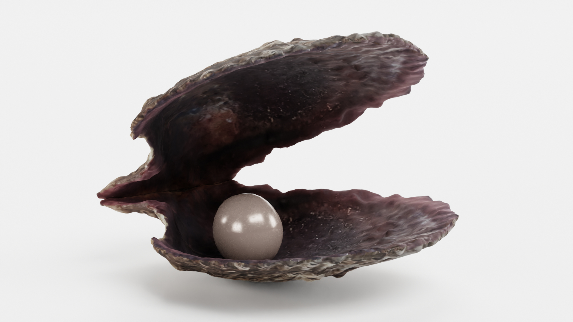 3D Pearl In Shell 2 - TurboSquid 2049546