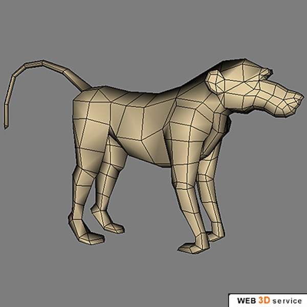 3D Baboon Models | TurboSquid