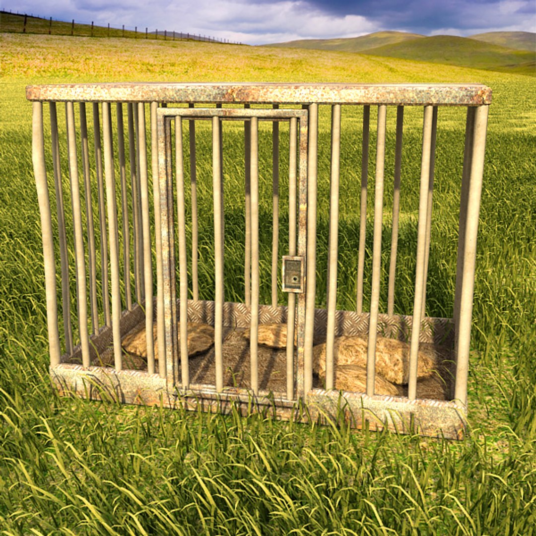 3ds max animal cage
