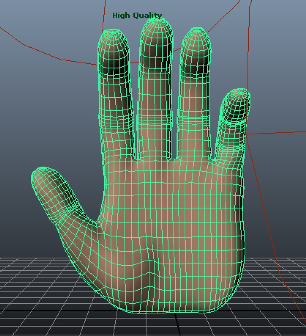 Human Hand 3d Model