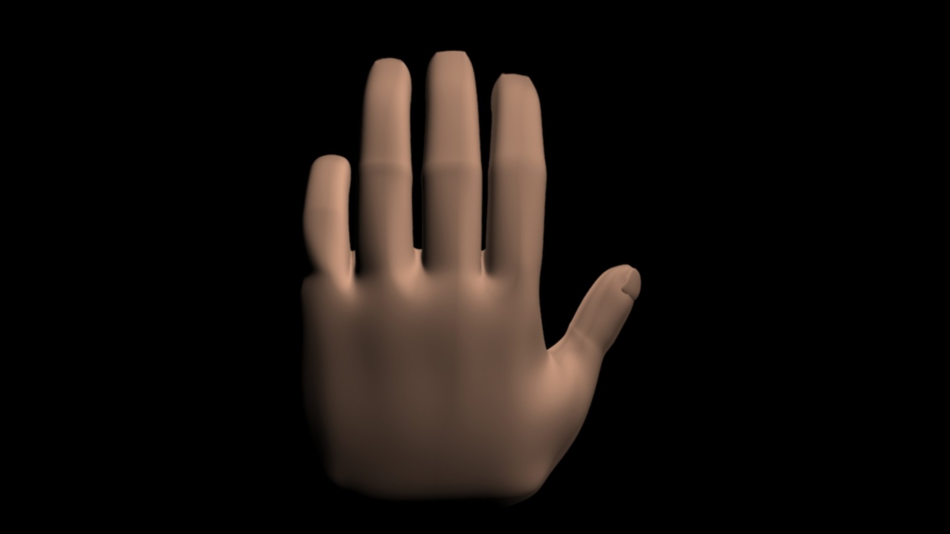 Human Hand 3d Model