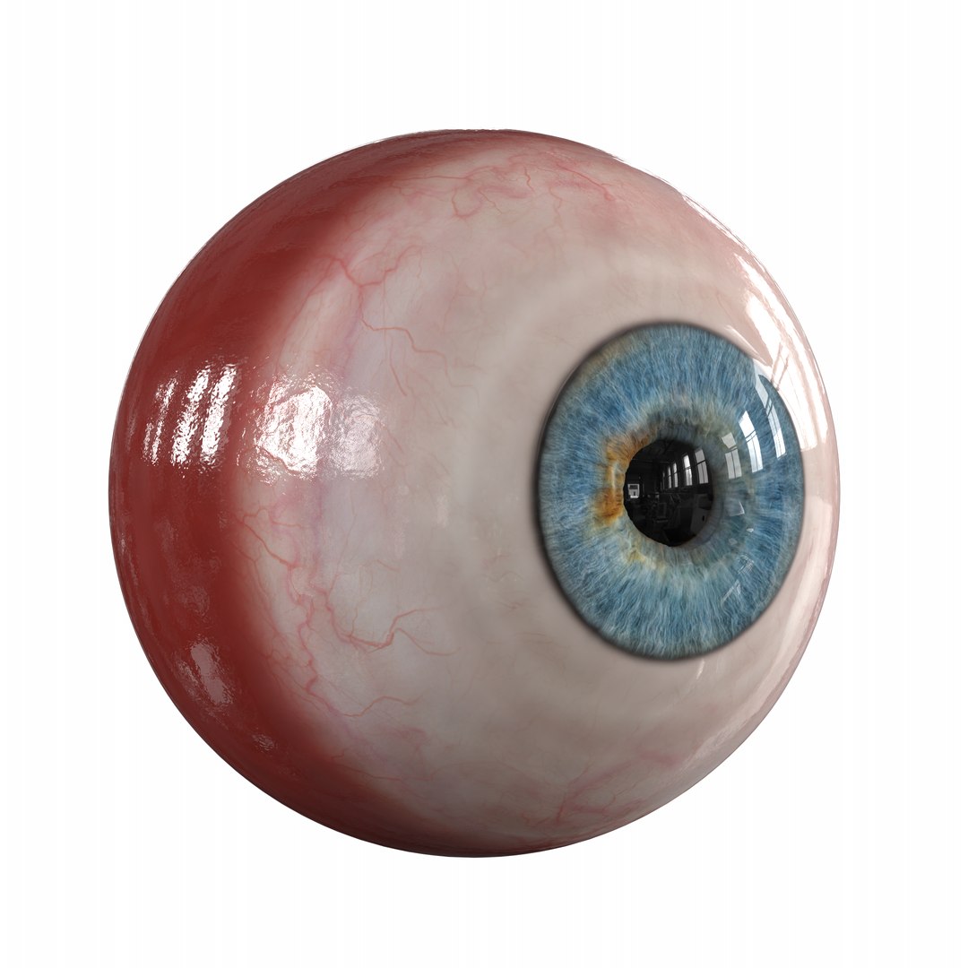 Human Eye Realistic Eyeball Iris 3D Model - TurboSquid 1645996