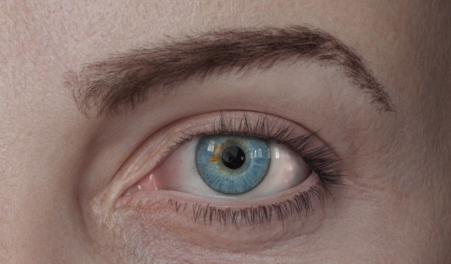 Human Eye Realistic Eyeball Iris 3D Model - TurboSquid 1645996