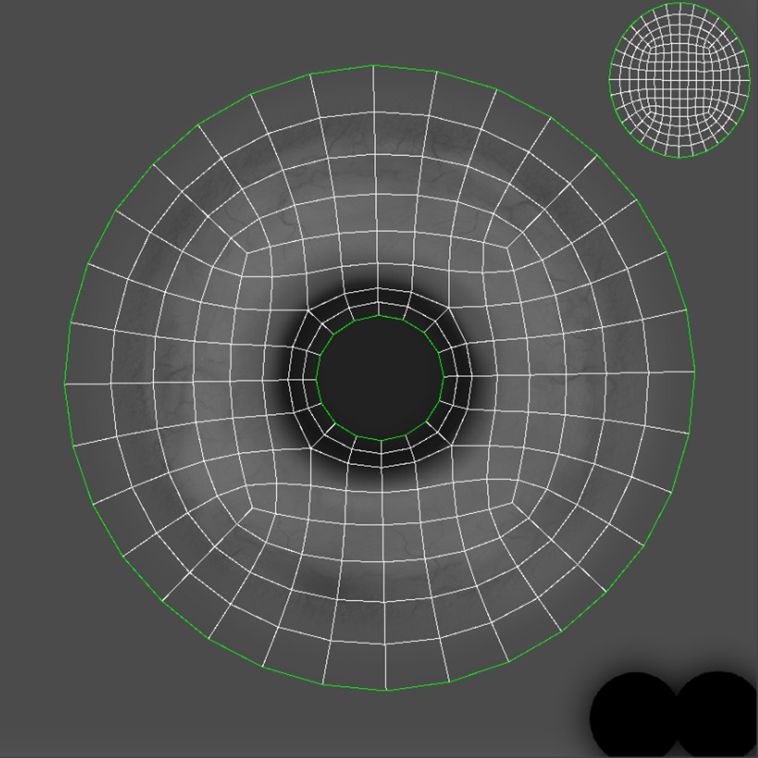 Human Eye Realistic Eyeball Iris 3D Model - TurboSquid 1645996