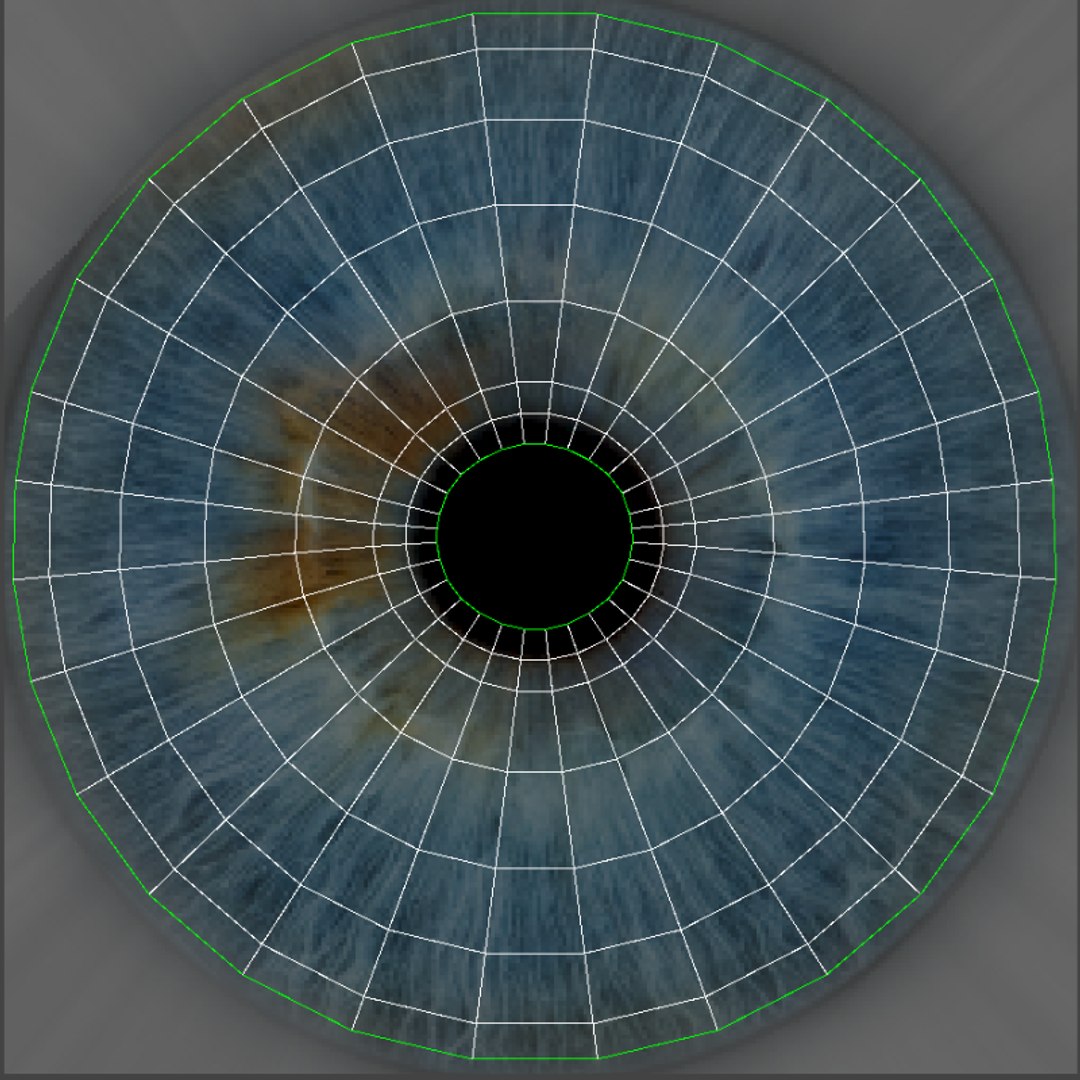 Human Eye Realistic Eyeball Iris 3D Model - TurboSquid 1645996