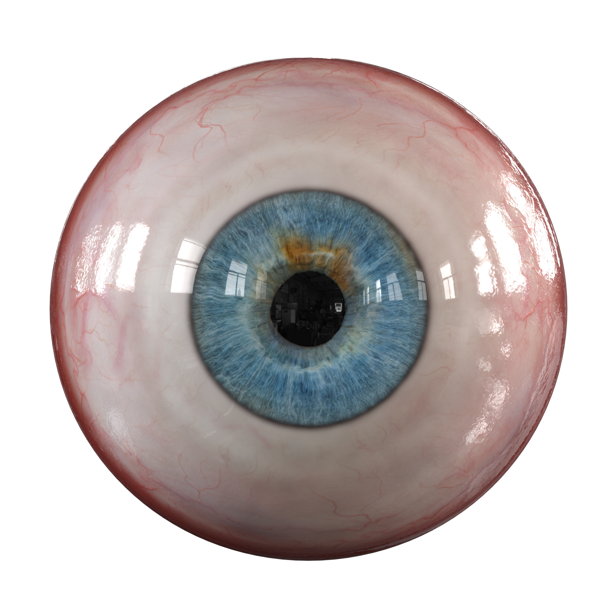 Human eye realistic eyeball iris 3D model - TurboSquid 1645996