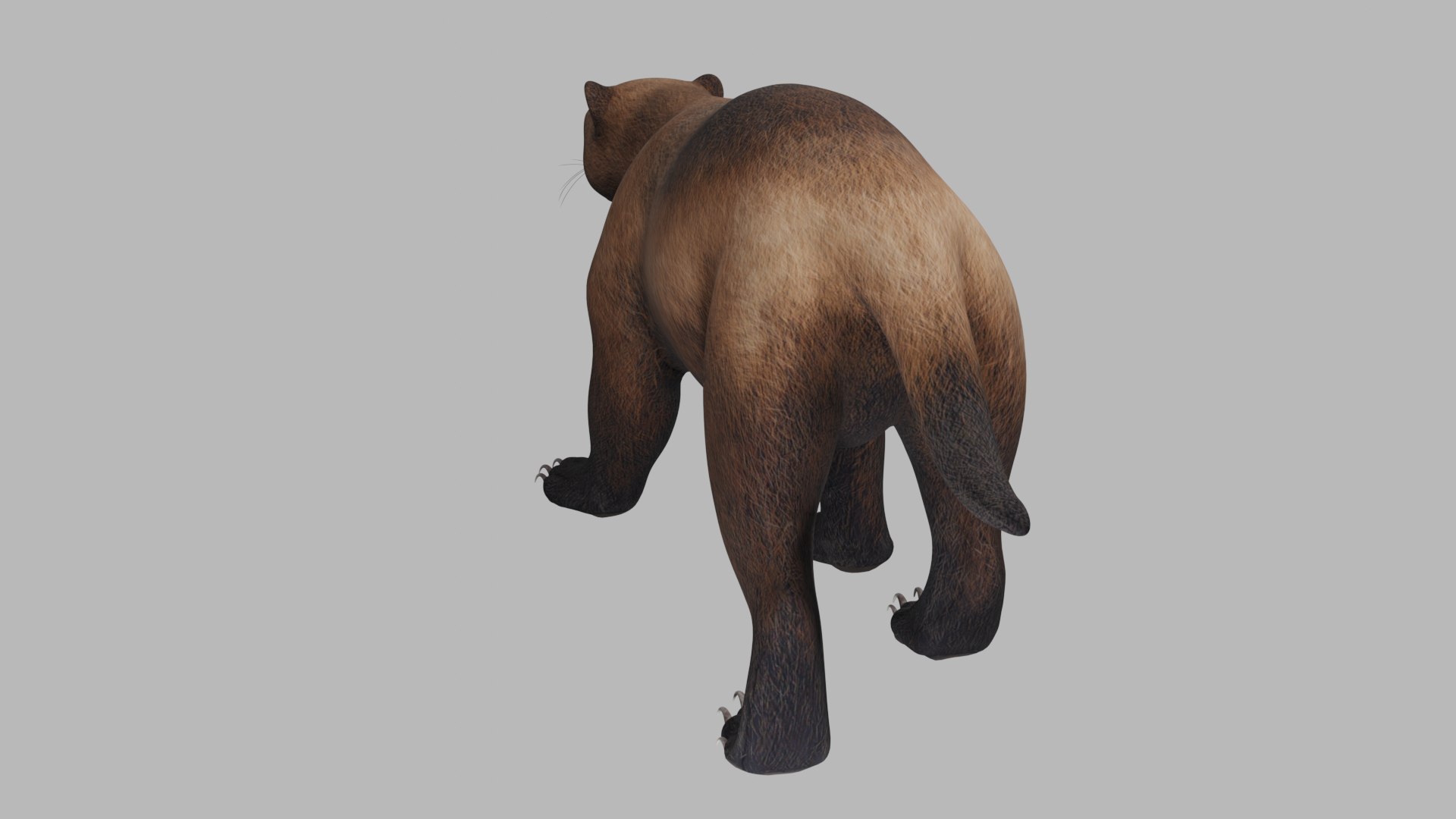 Animal Wolverine Model - TurboSquid 1694487