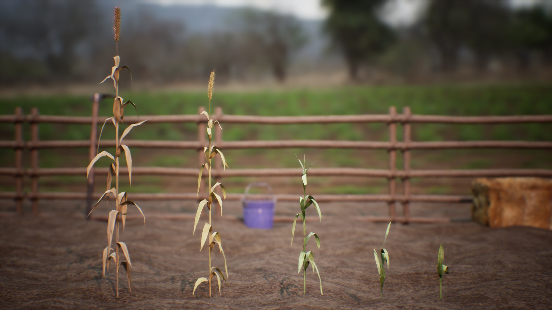 Growing Farm Plants 30 Assets 3D Model - TurboSquid 2114968