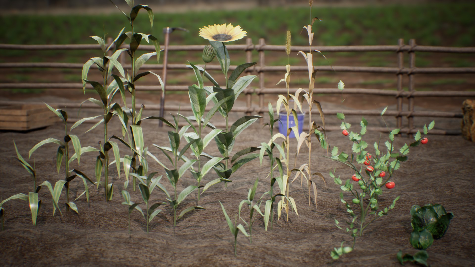 Growing Farm Plants 30 Assets 3D Model - TurboSquid 2114968