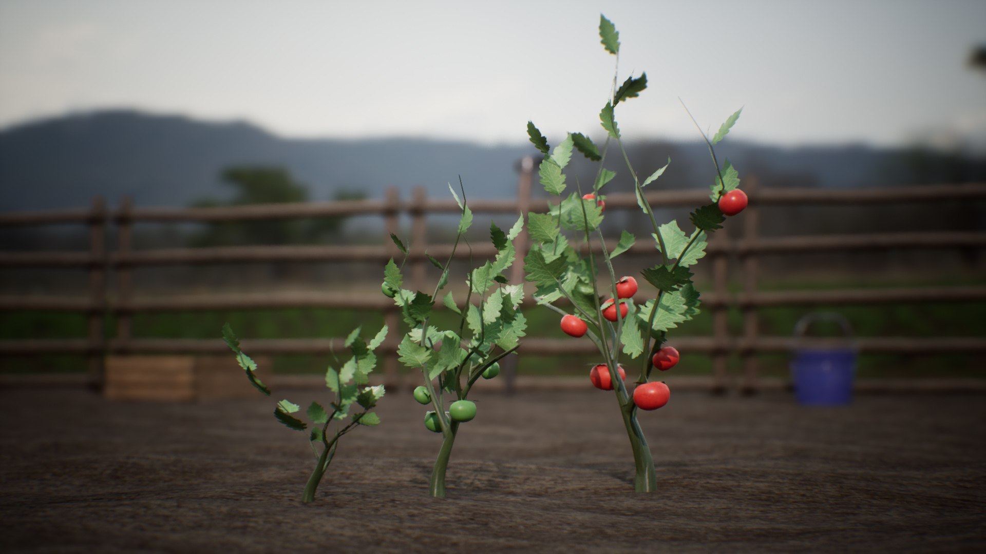 Growing Farm Plants 30 Assets 3D Model - TurboSquid 2114968