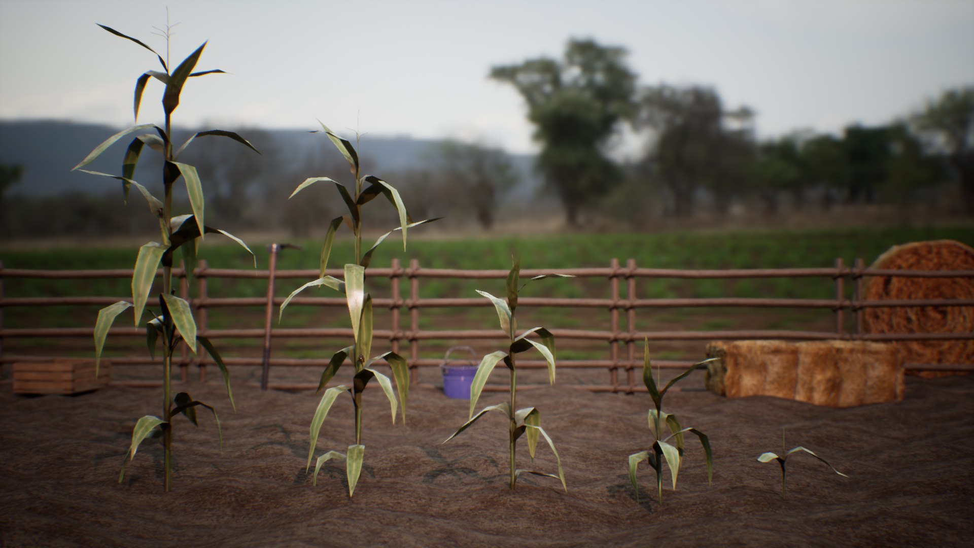 Growing Farm Plants 30 Assets 3D Model - TurboSquid 2114968