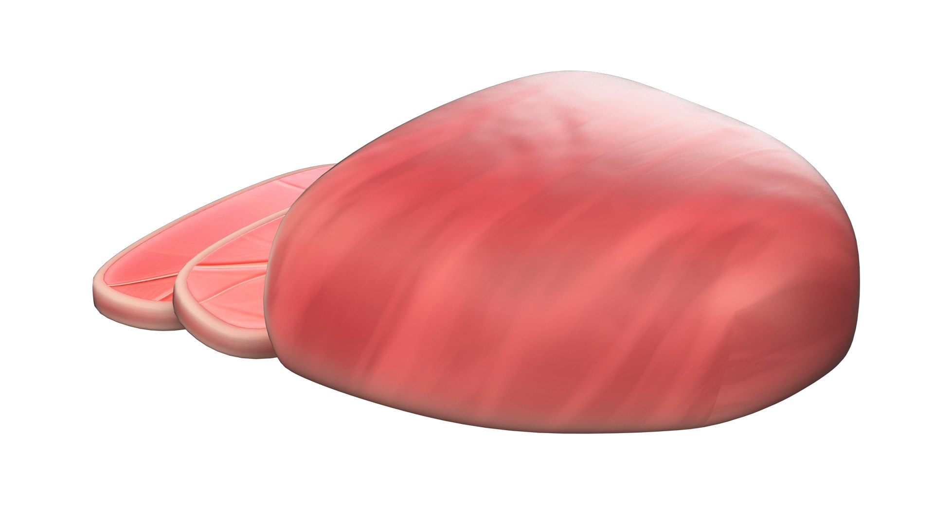 Cartoon Ham Meat 3D Model - TurboSquid 2078664