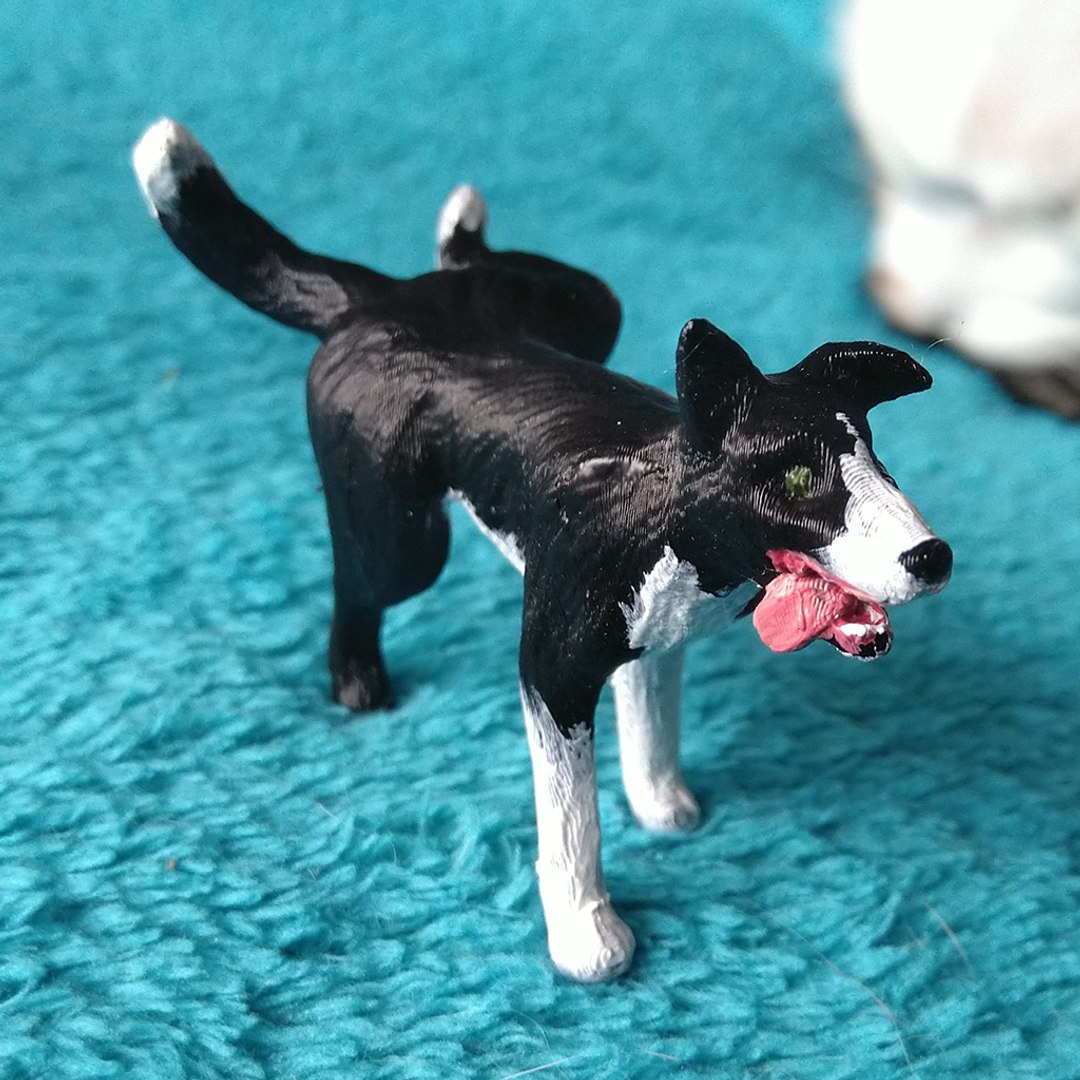 3D Peeing Dog Border Collie 3d Printable - TurboSquid 2003244