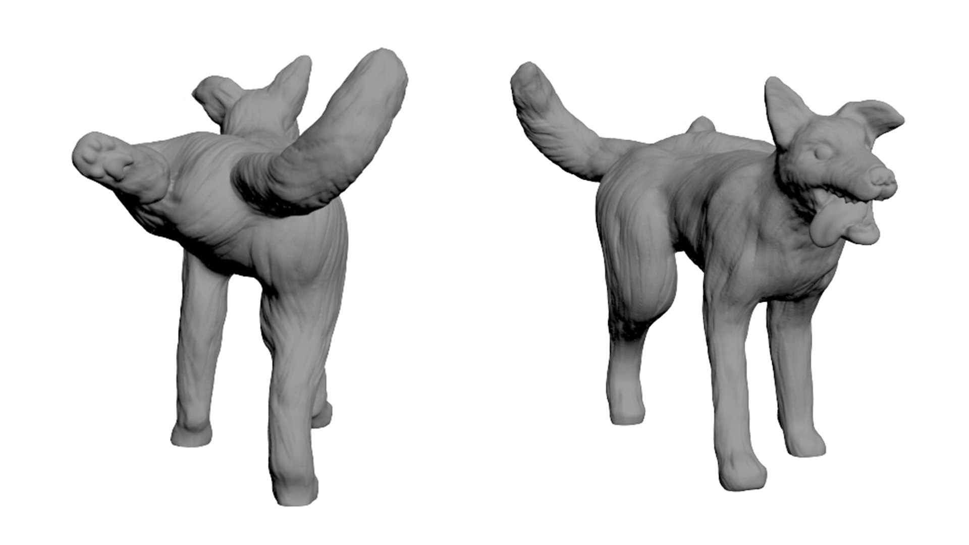 3D Peeing Dog Border Collie 3d Printable - TurboSquid 2003244