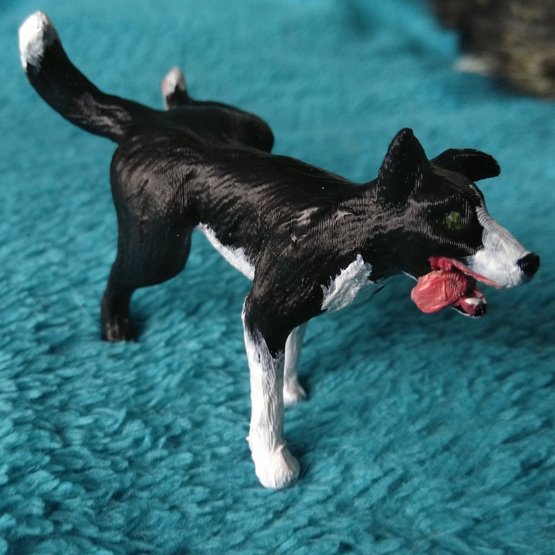 3D Peeing Dog Border Collie 3d Printable - TurboSquid 2003244