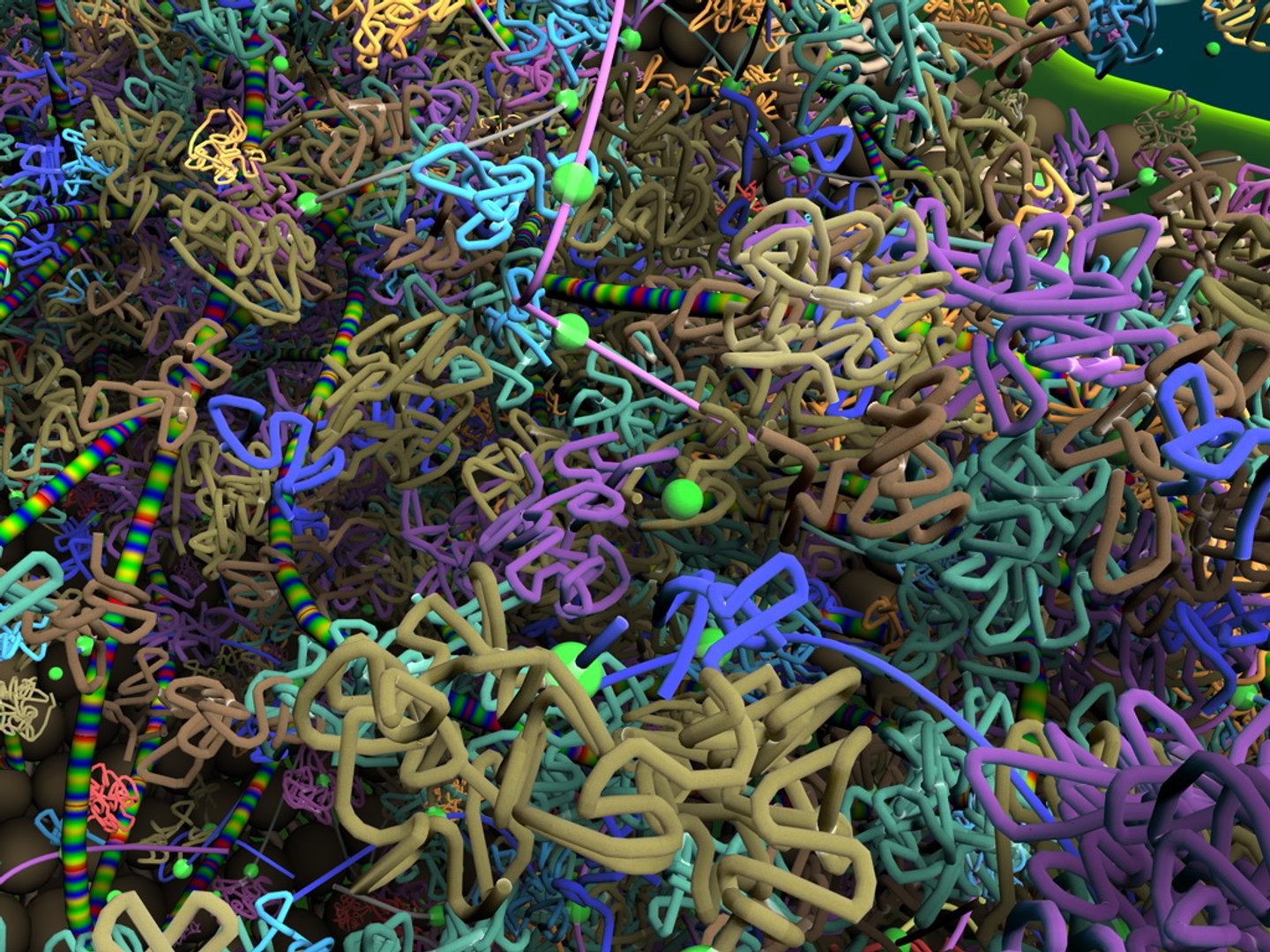 bacterium eukaryont dna 3d model