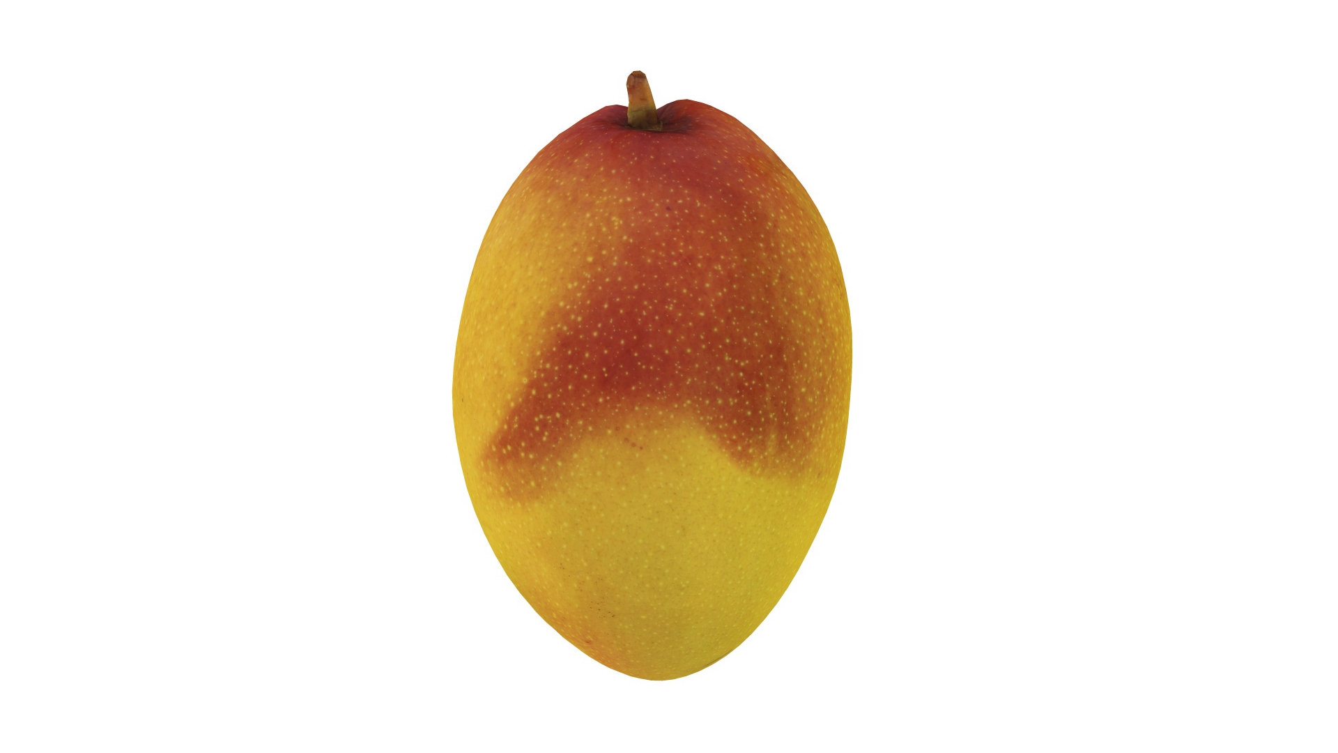 Mango - Real-Time 3D Scanned 3D Model - TurboSquid 1732912