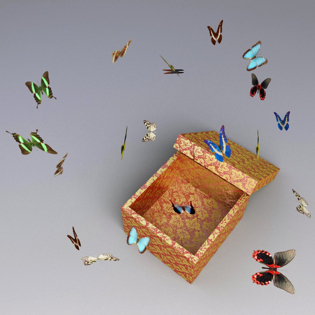 3d Butterfly Box