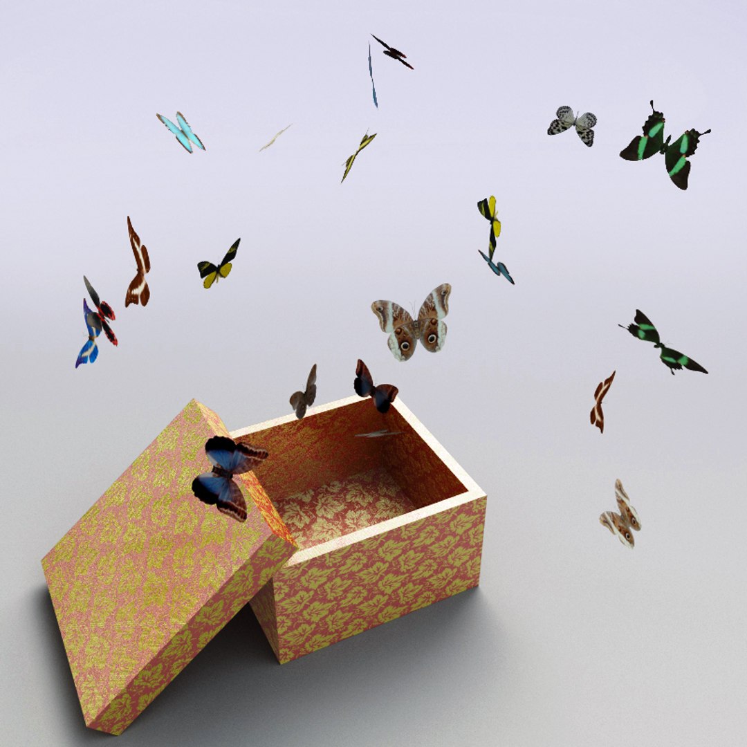 3d Butterfly Box