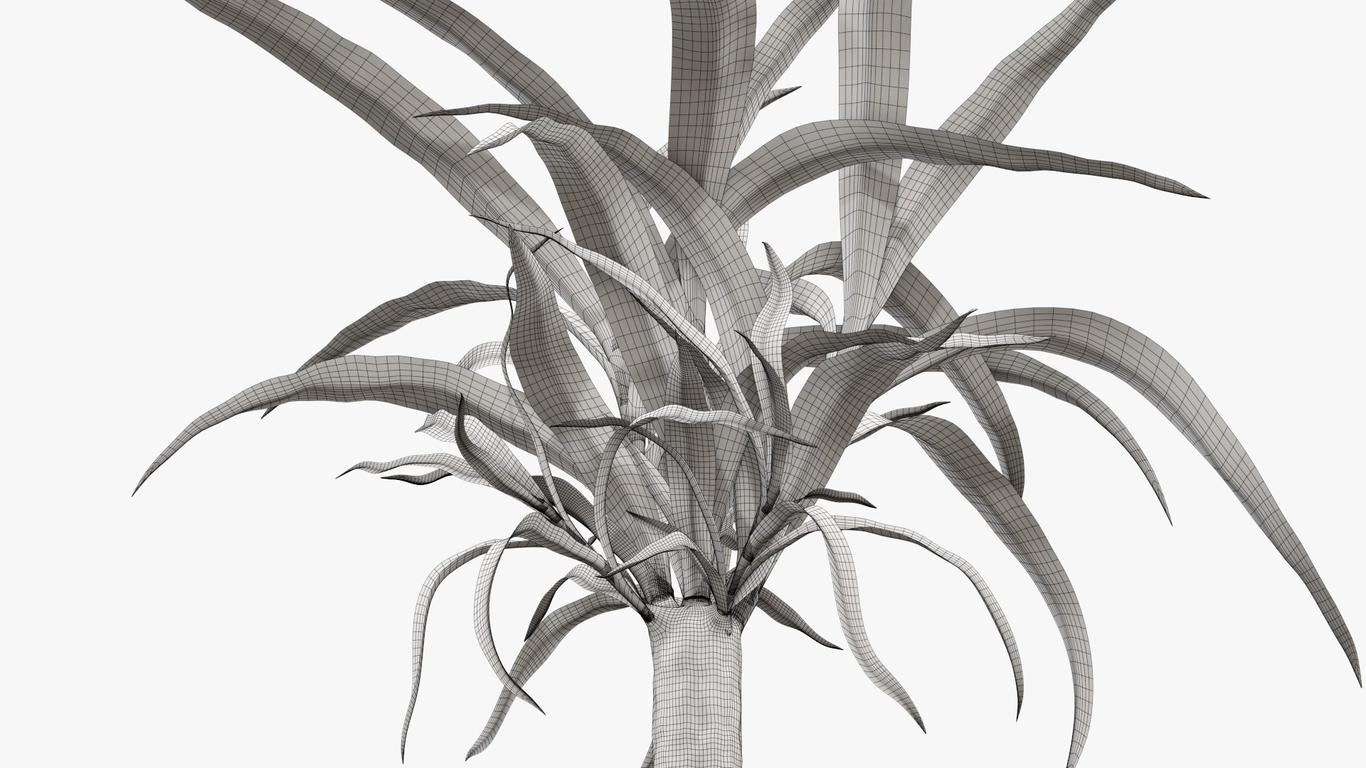 Plant nature flora 3D model - TurboSquid 1645772
