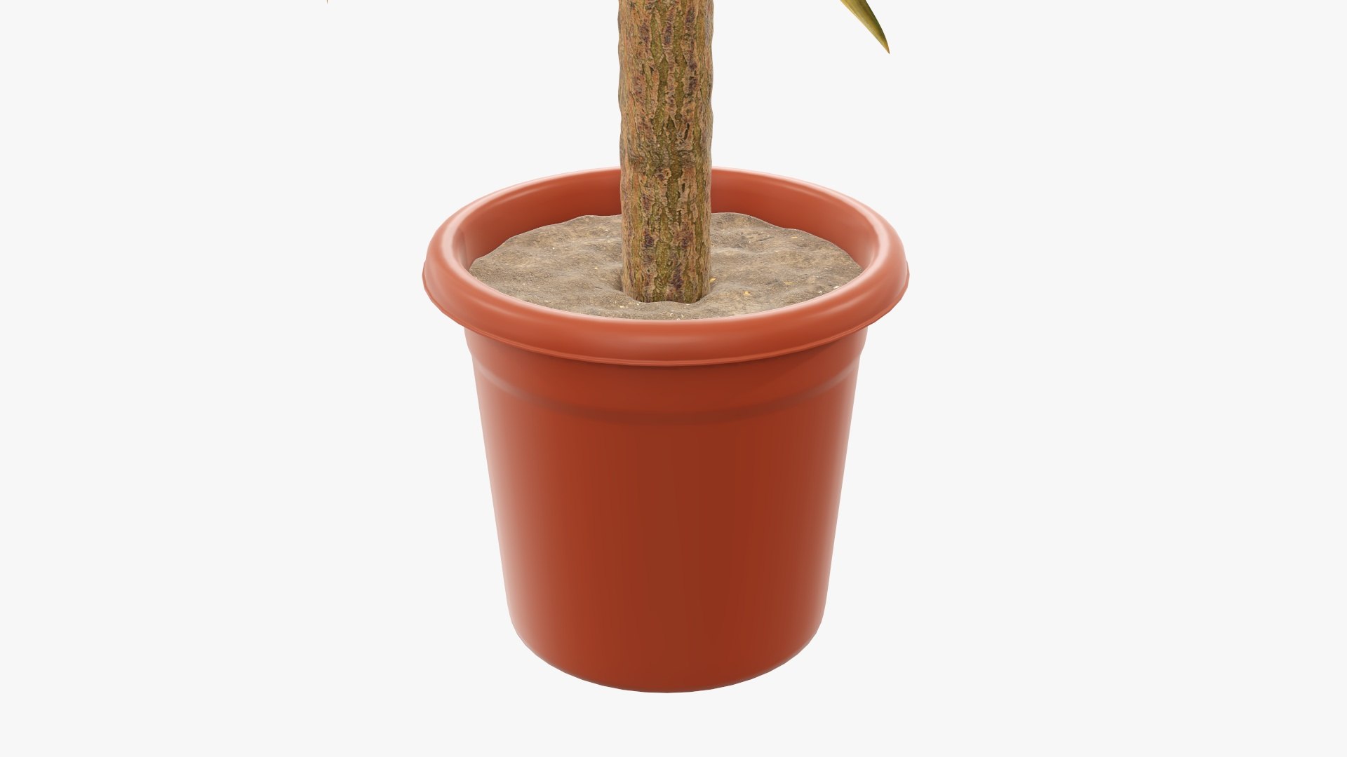 Plant nature flora 3D model - TurboSquid 1645772