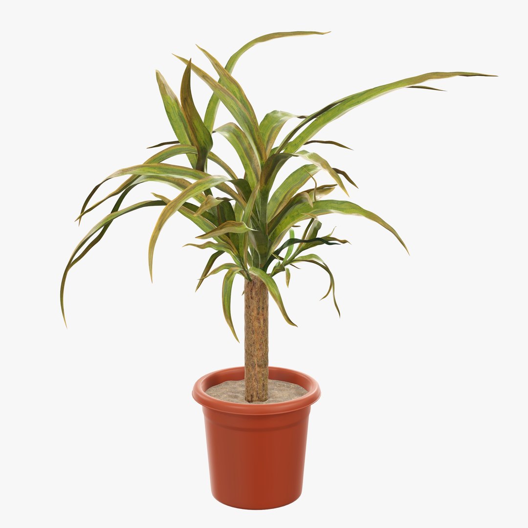 Plant nature flora 3D model - TurboSquid 1645772