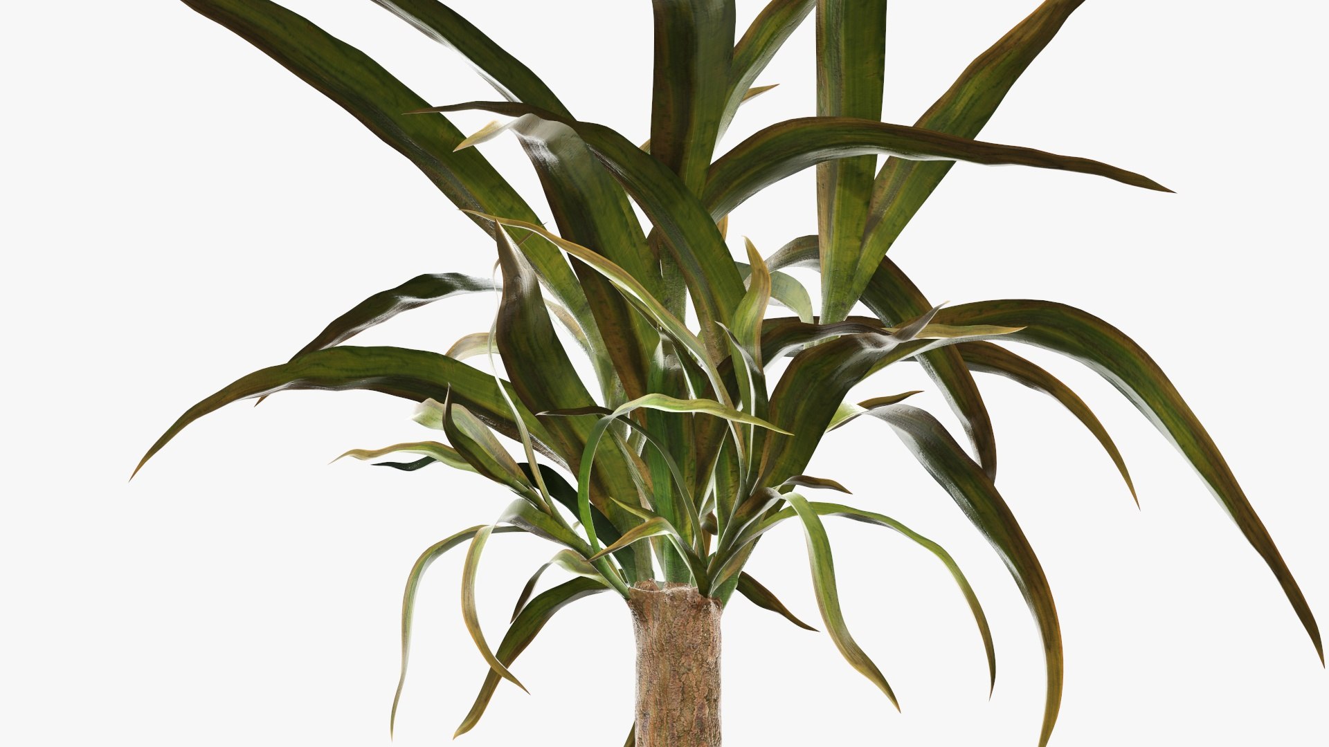 Plant nature flora 3D model - TurboSquid 1645772