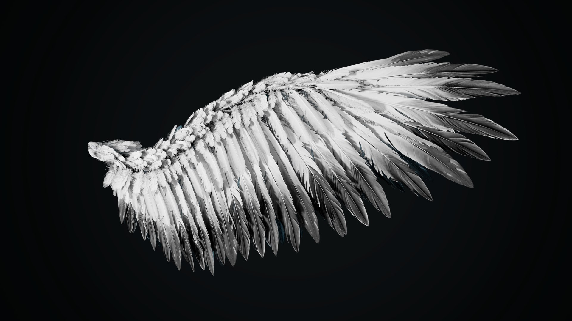 Angel Wings Model - TurboSquid 2378684