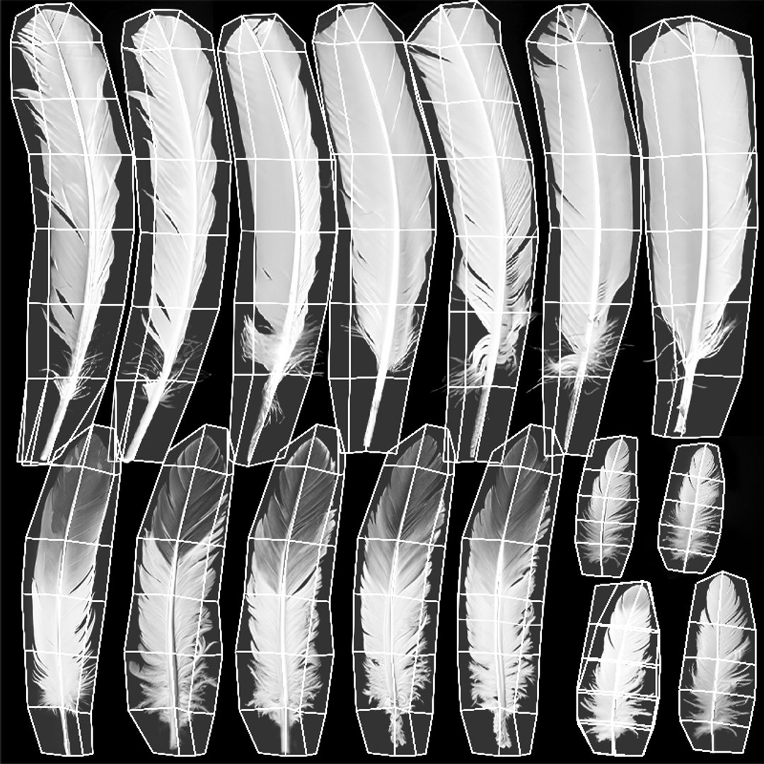 Angel Wings Model - TurboSquid 2378684