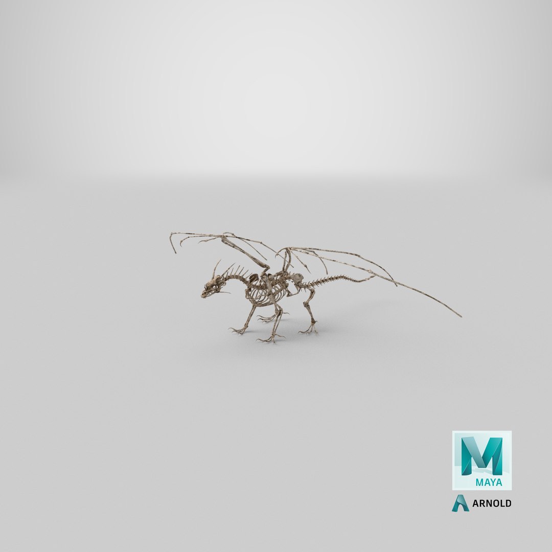 3D Bone Dragon - TurboSquid 1465706