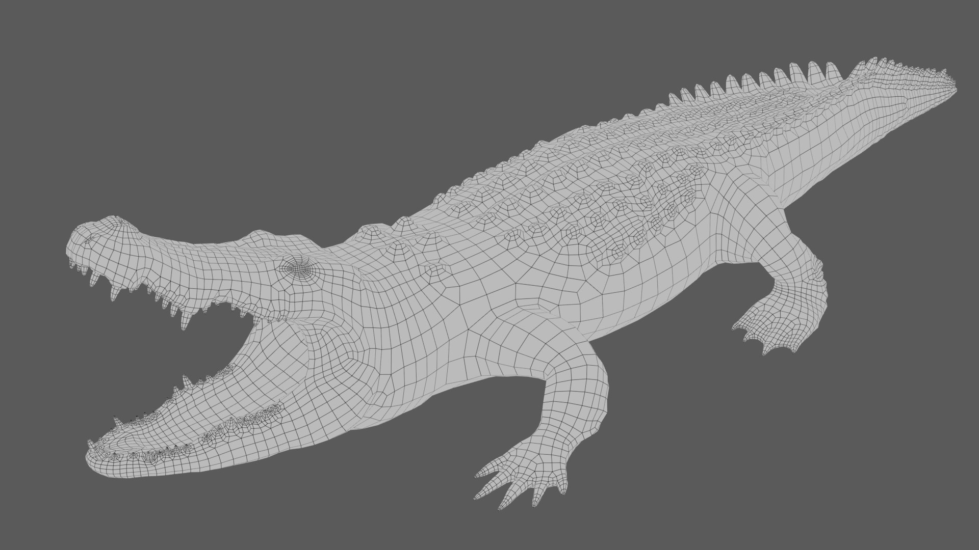 Saltwater Crocodile Rigged 3D Model - TurboSquid 2137261
