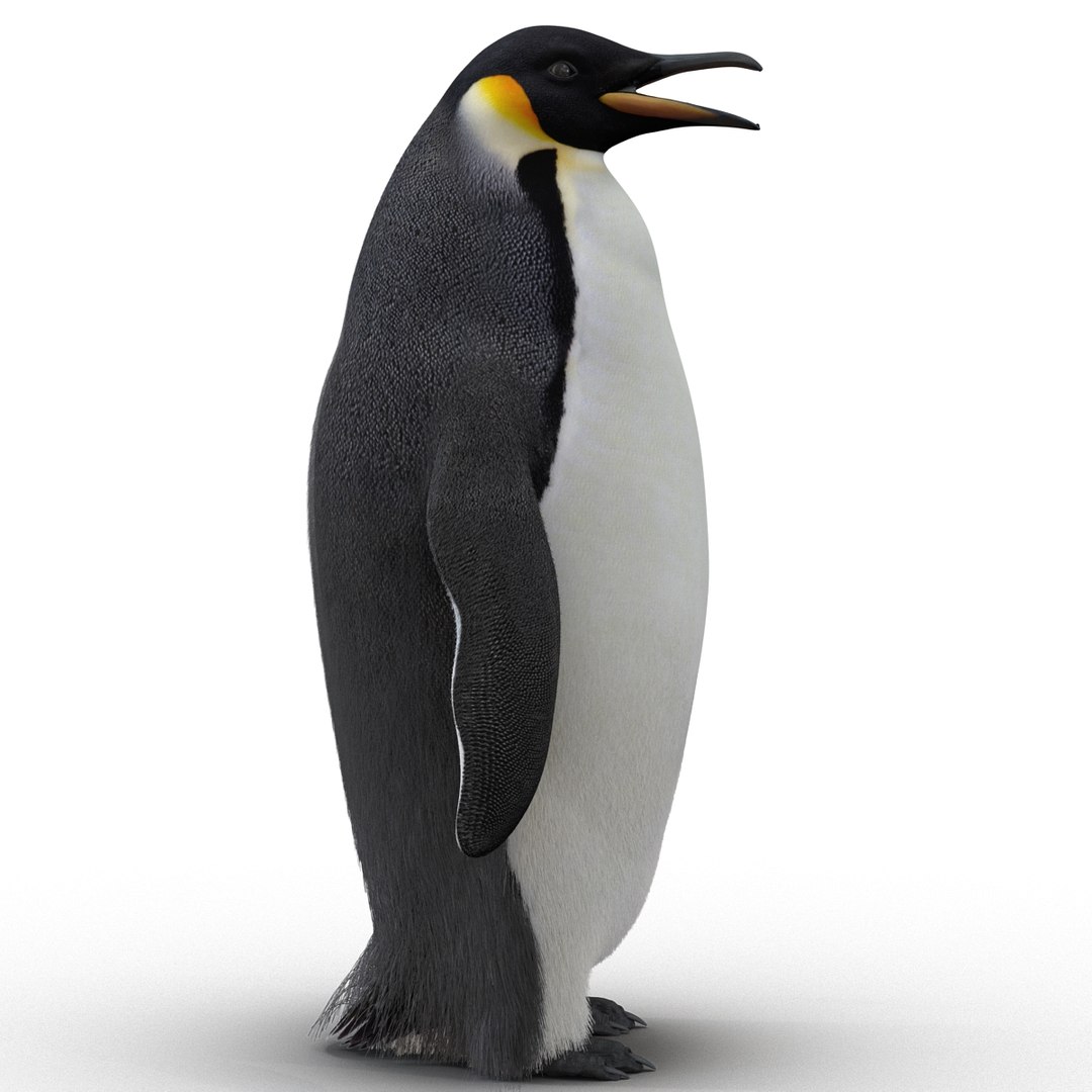 emperor penguin rigged fur ma