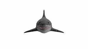 Free 3D Shark Models - Available For Download On TurboSquid