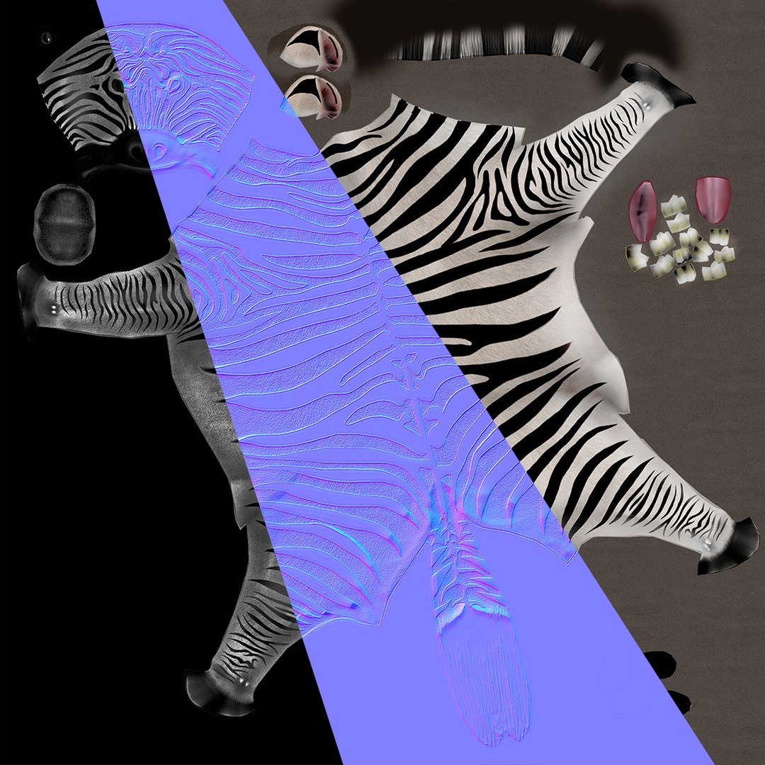 Zebra 3D Model - TurboSquid 1396981