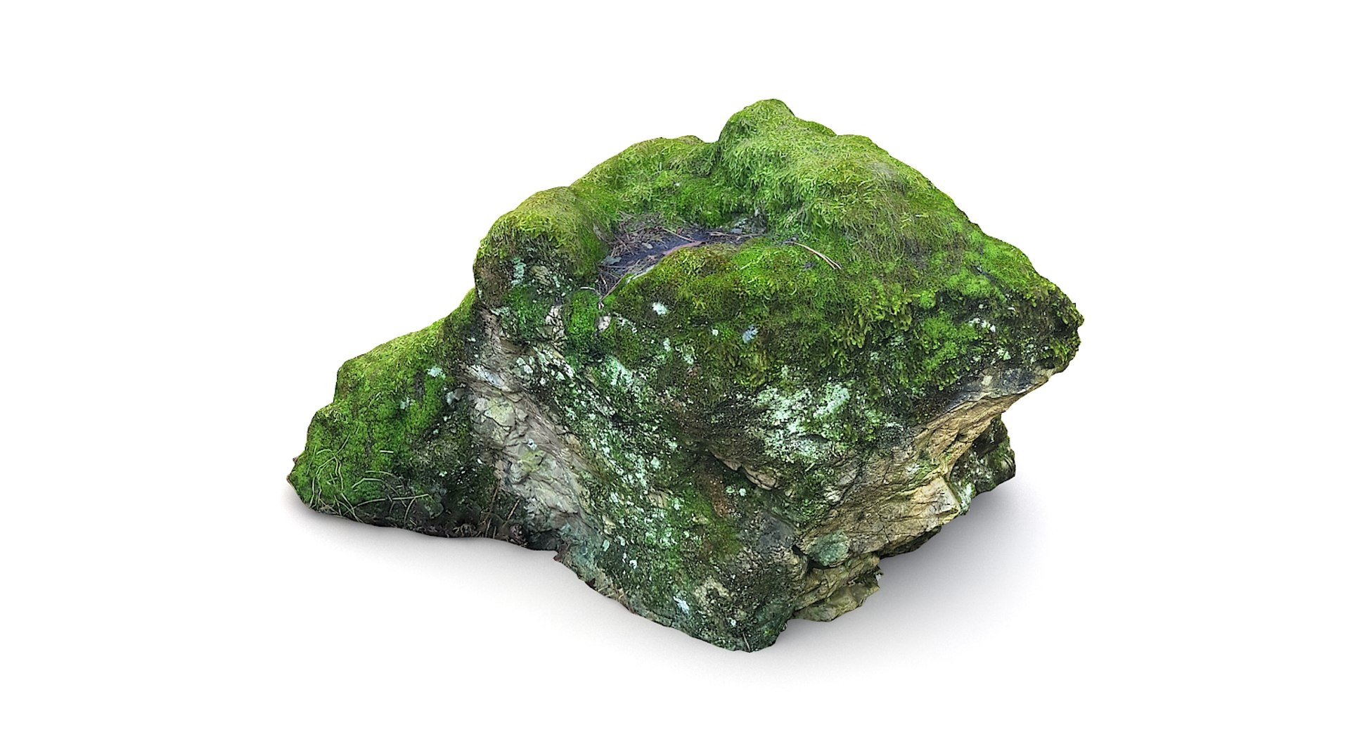 3D Scan Limestone Moss - TurboSquid 1242072