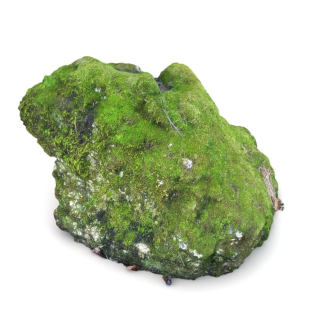 3D Scan Limestone Moss - TurboSquid 1242072