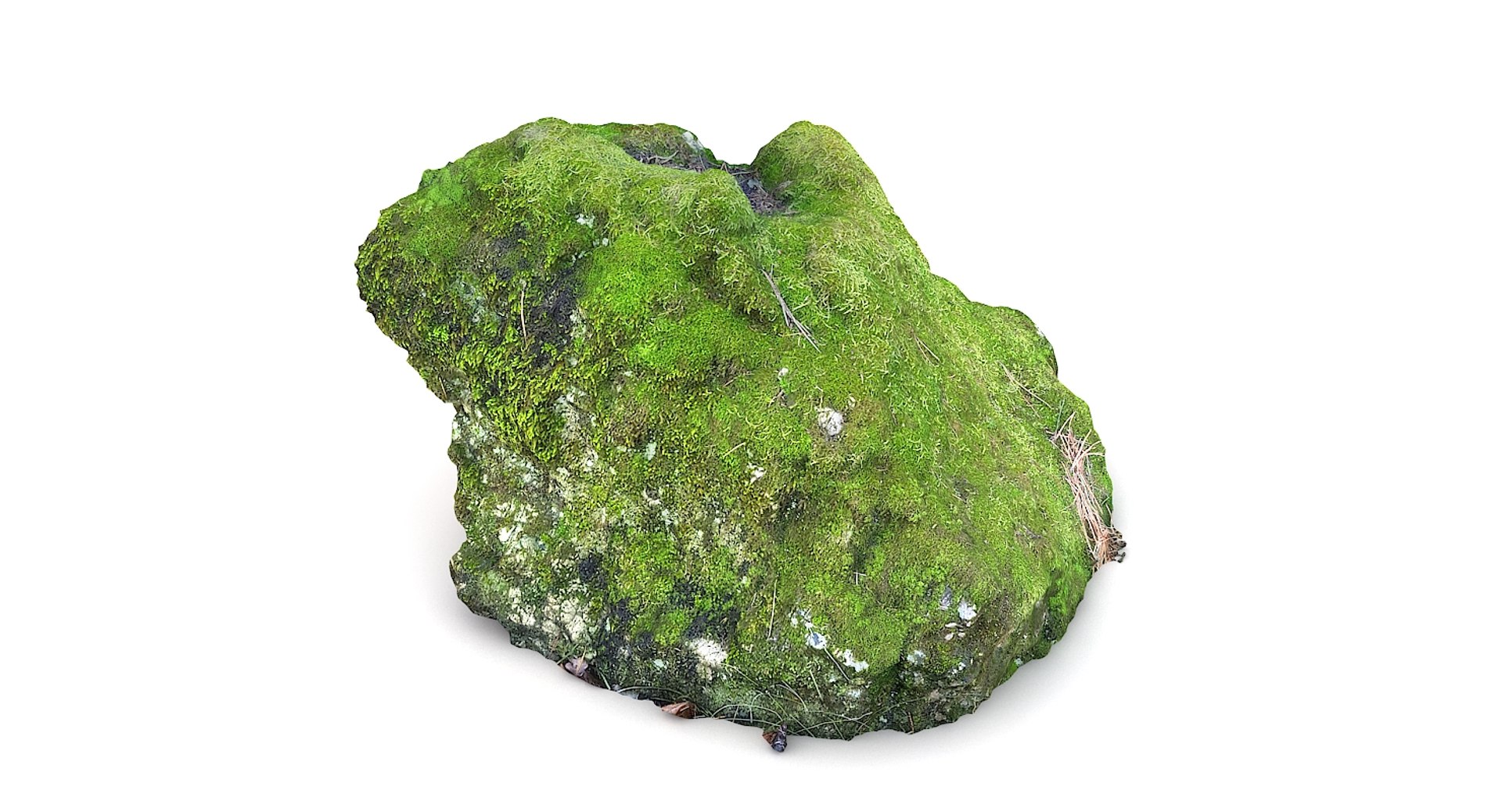3D Scan Limestone Moss - TurboSquid 1242072
