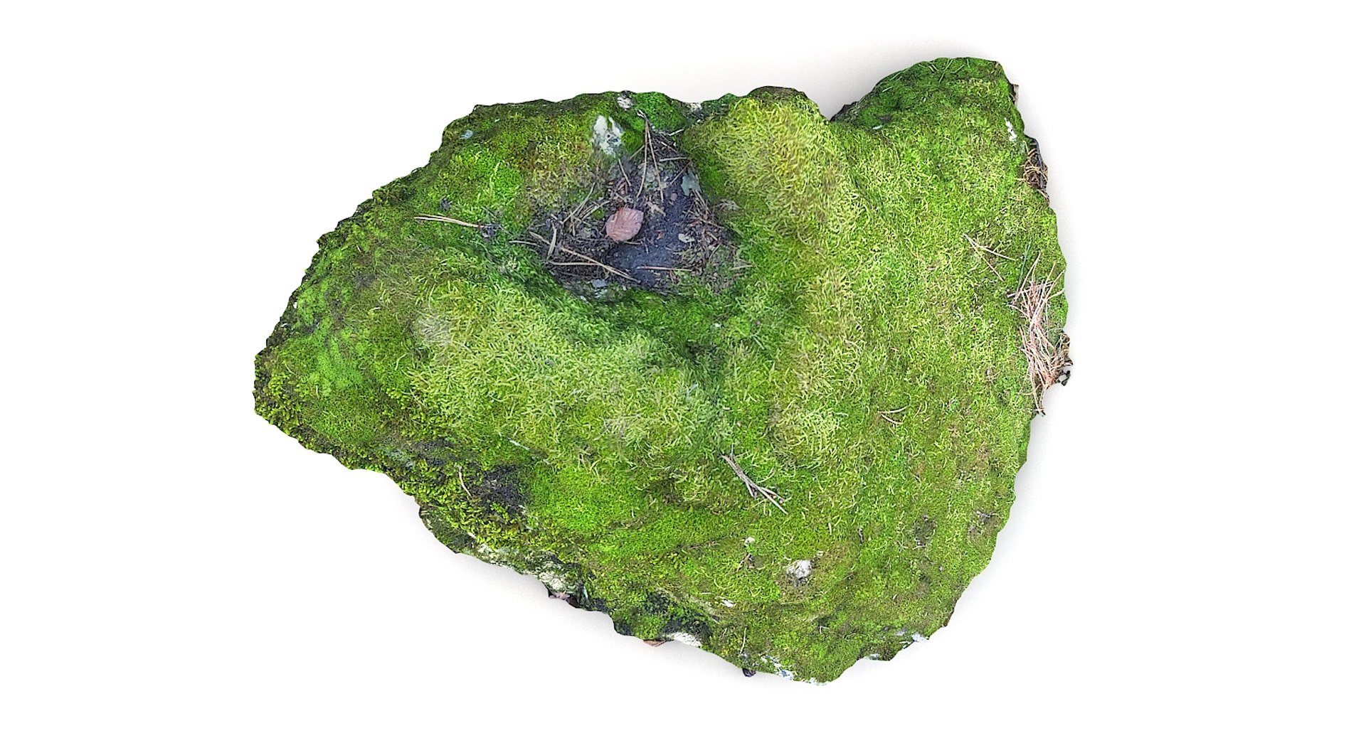 3D Scan Limestone Moss - TurboSquid 1242072