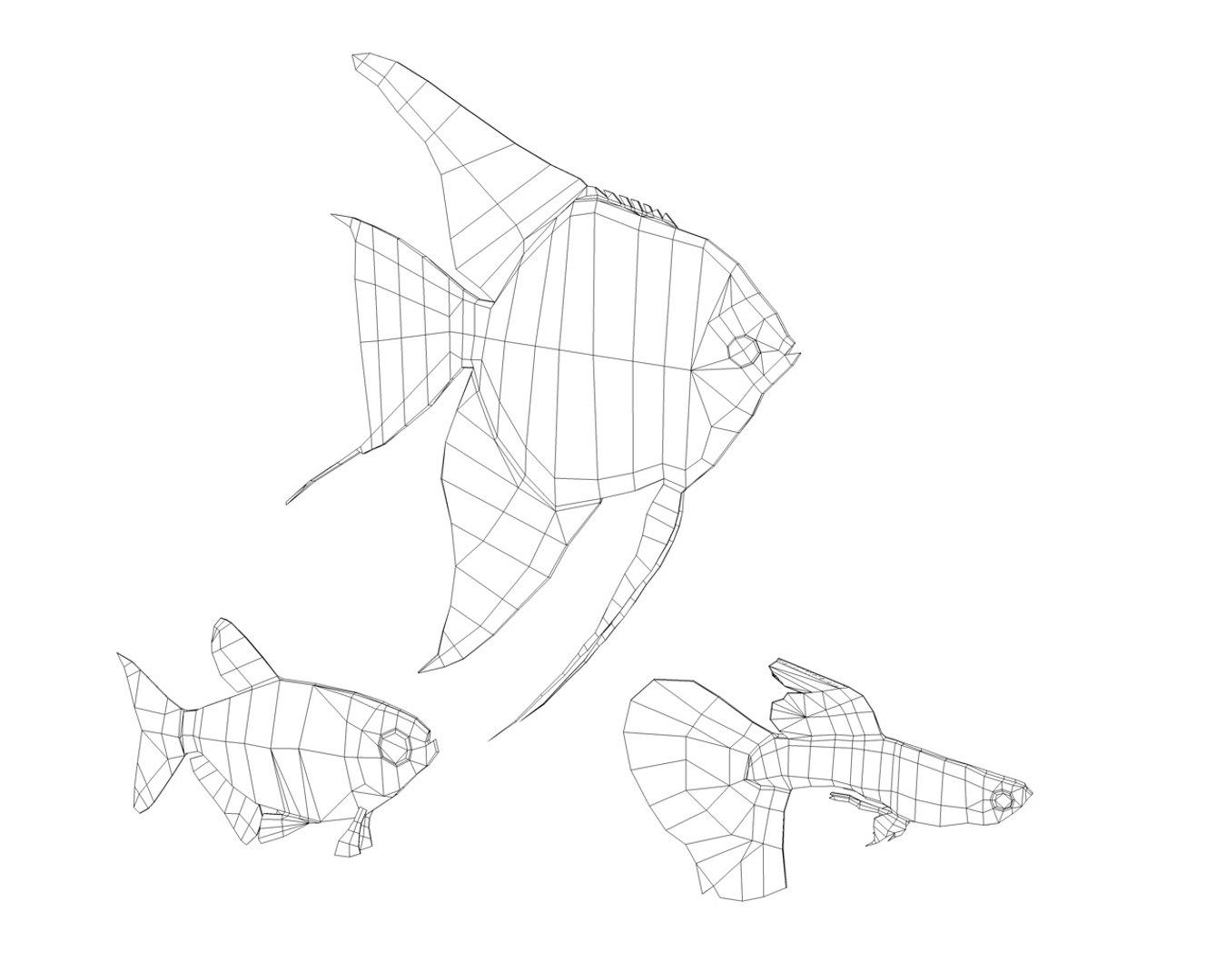 3d Fish Model