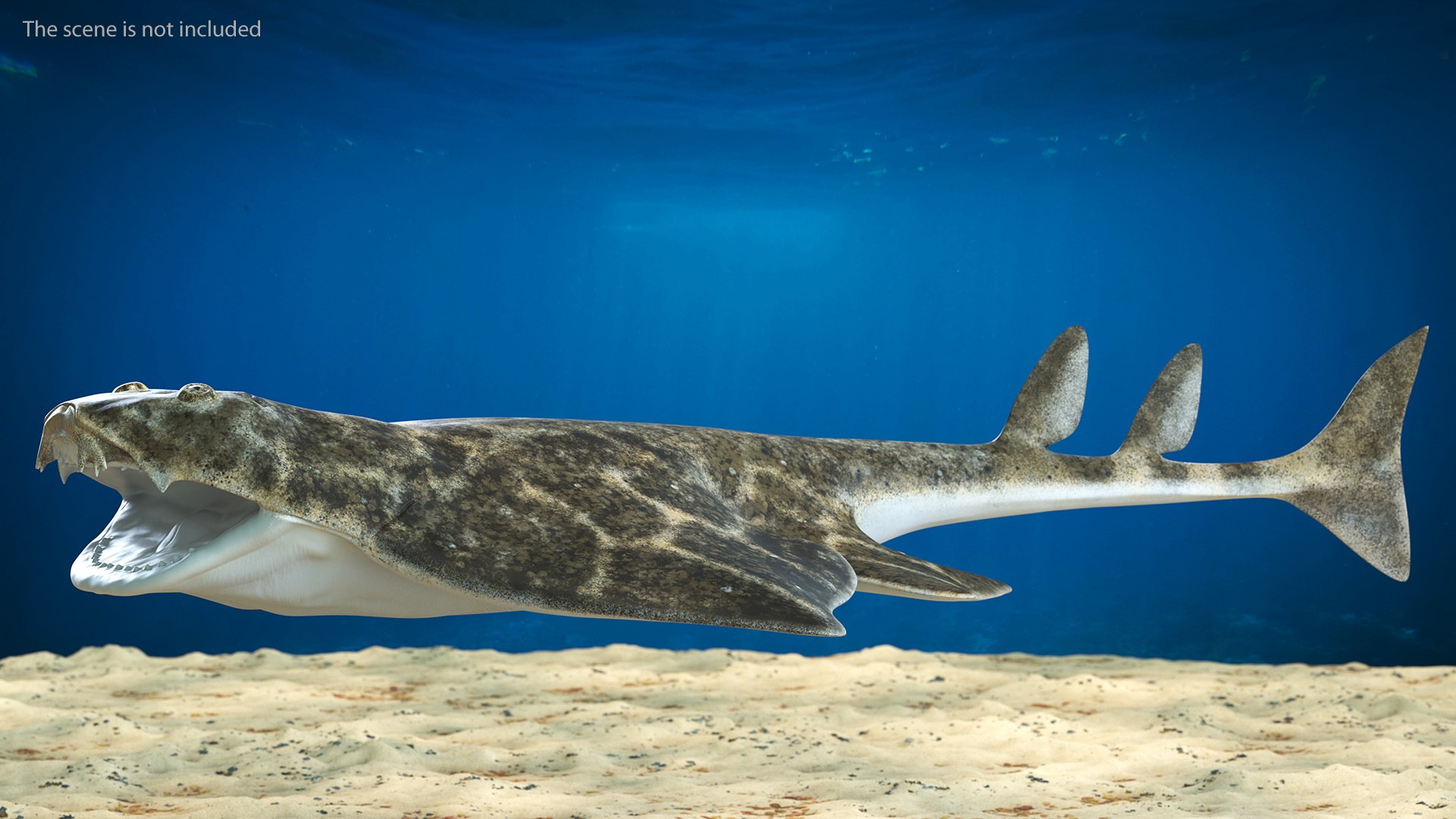 3D Angel Shark Attack Pose - TurboSquid 1919630