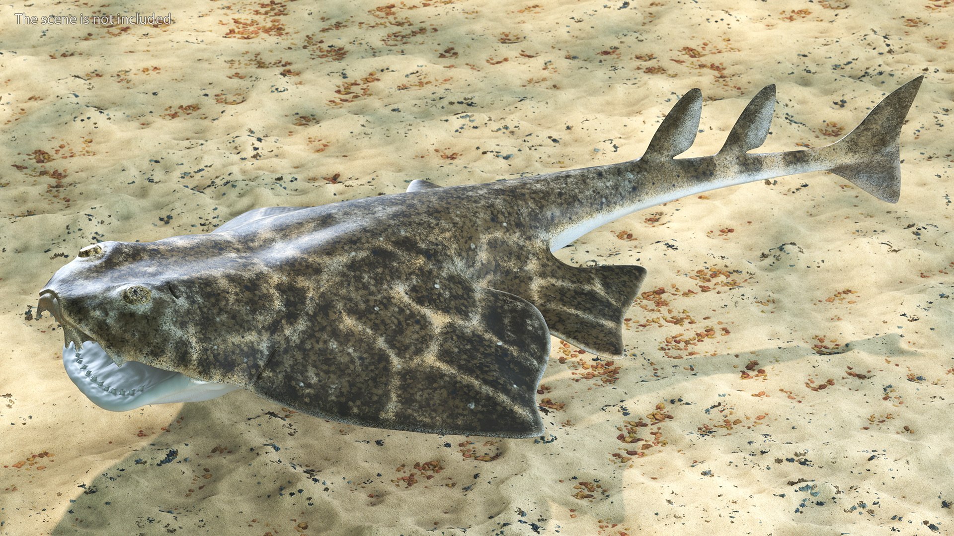 3D Angel Shark Attack Pose - TurboSquid 1919630