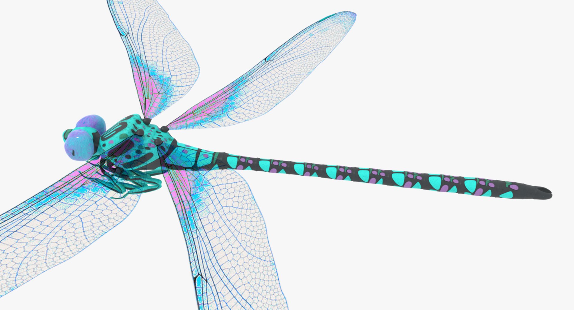 Dragonfly 3D Model - TurboSquid 1410887