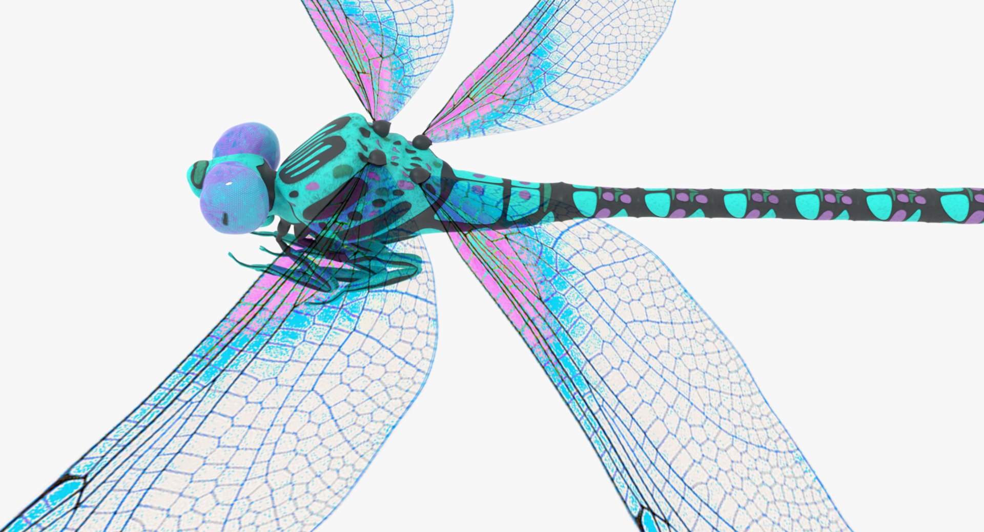 Dragonfly 3D Model - TurboSquid 1410887