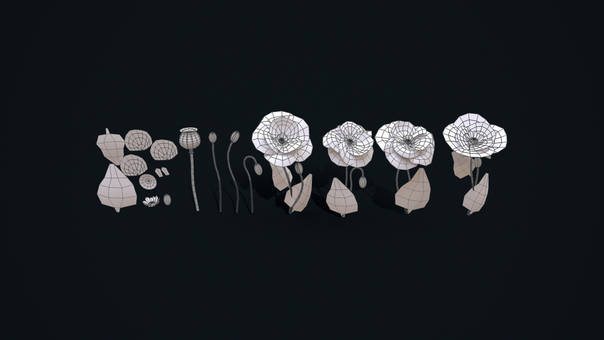 Stylized Handpainted Poppy 3D Model - TurboSquid 1994946