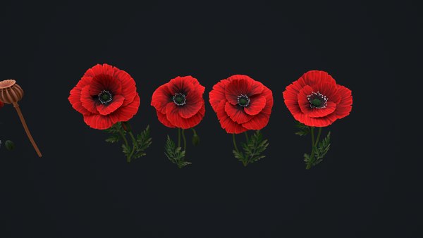 Stylized handpainted Poppy Modelo 3D - TurboSquid 1994946