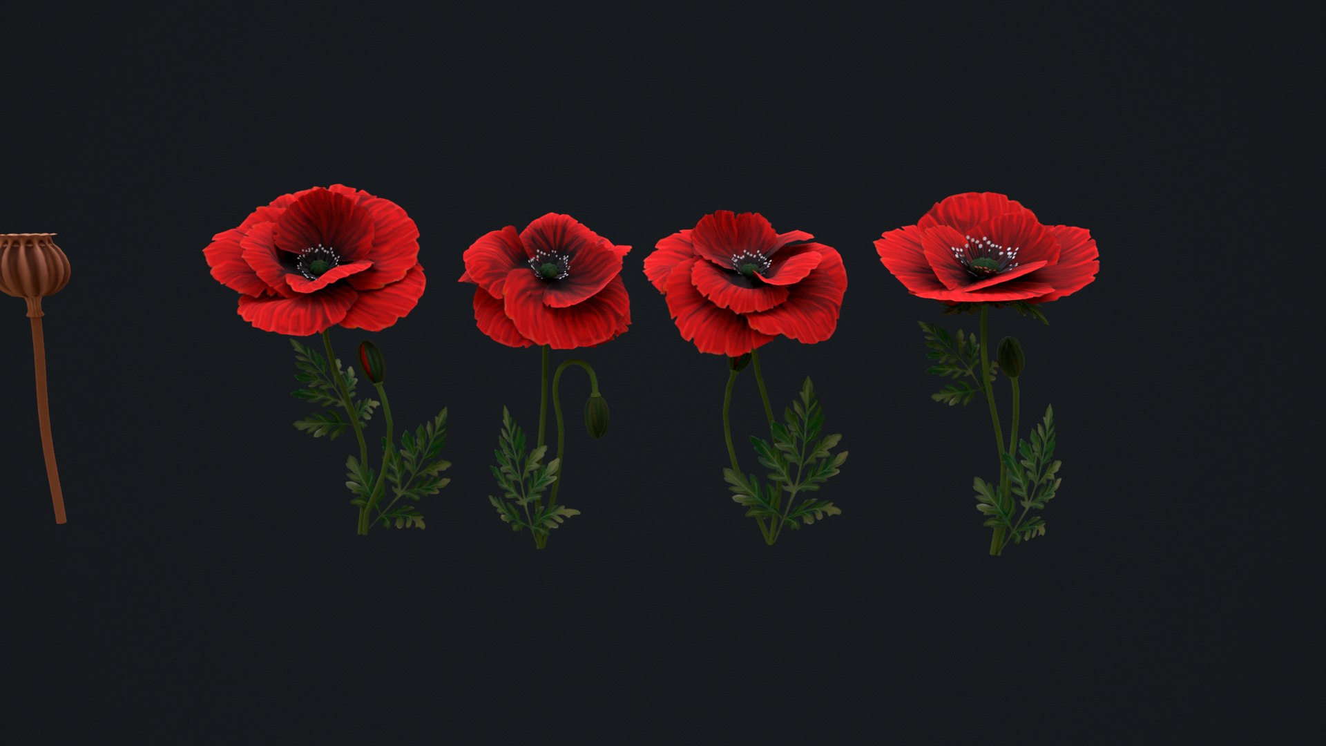 Stylized Handpainted Poppy 3D Model - TurboSquid 1994946