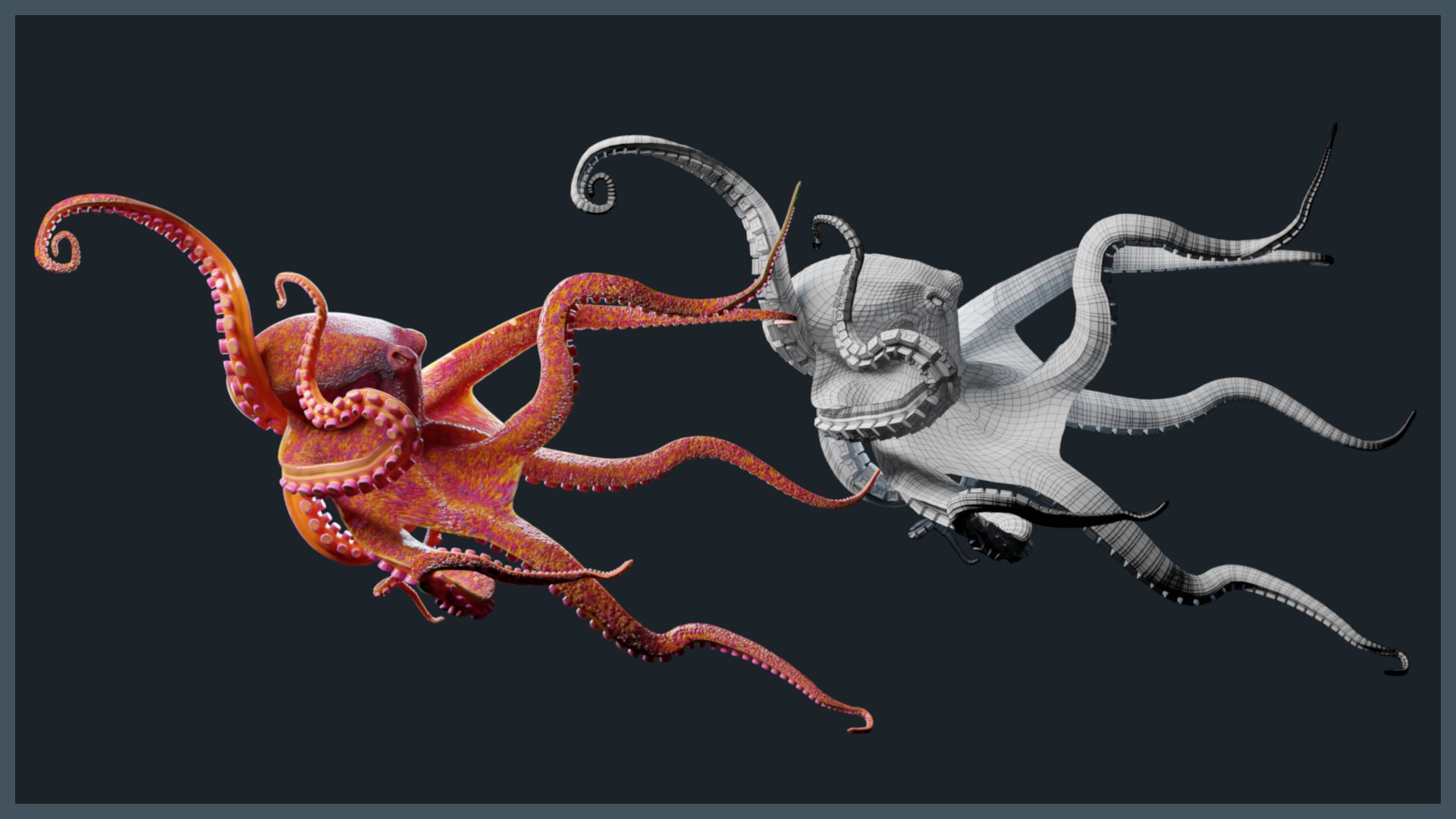 3D Octopus Mega Pack - TurboSquid 2044526