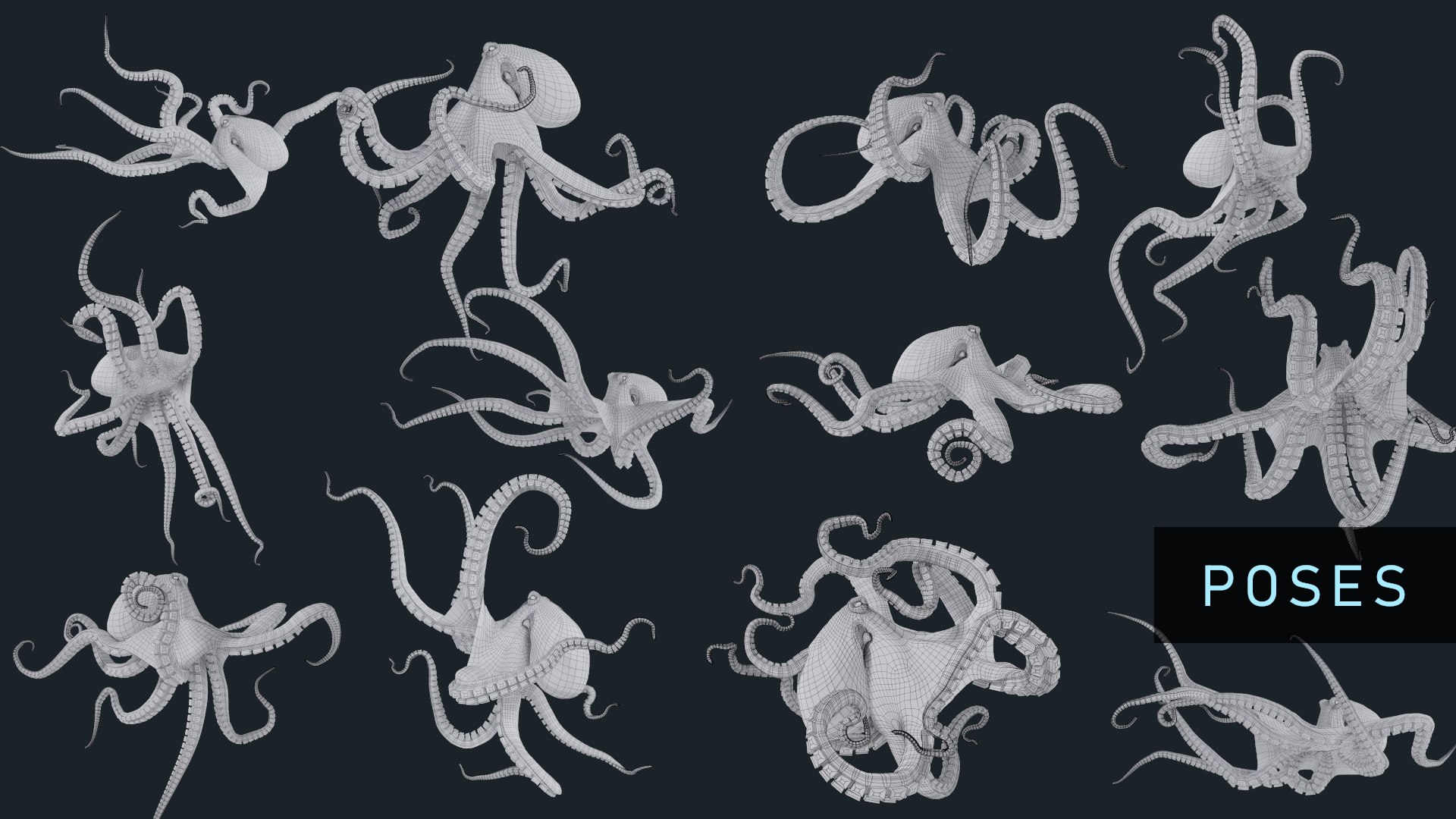 3D Octopus Mega Pack - TurboSquid 2044526