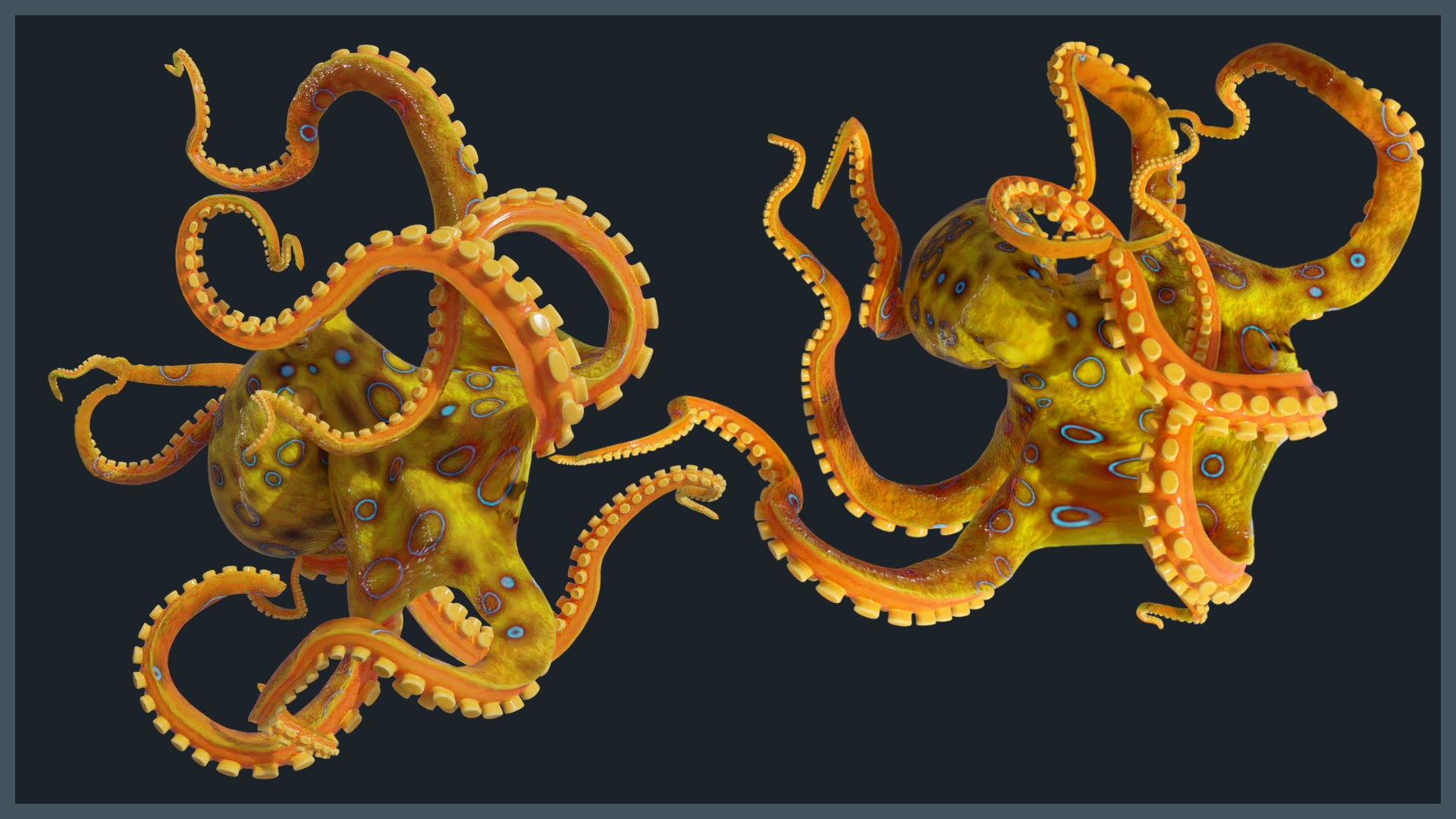 3D Octopus Mega Pack - TurboSquid 2044526